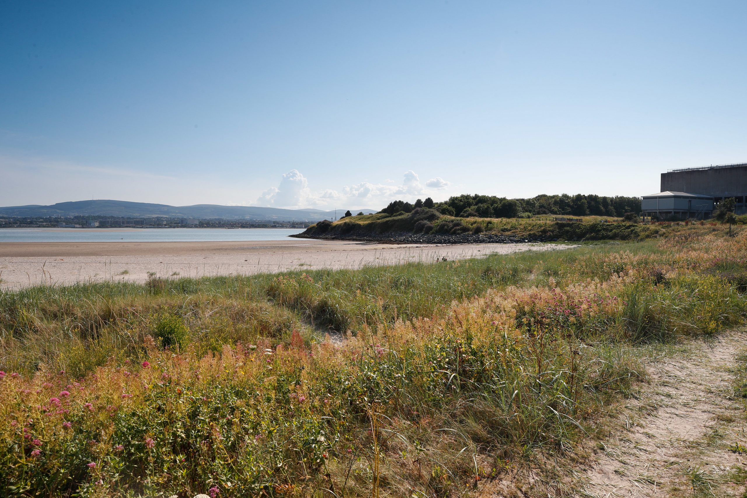 North Bull Island (Oileán an Tairbh) – Dublin City Film Office