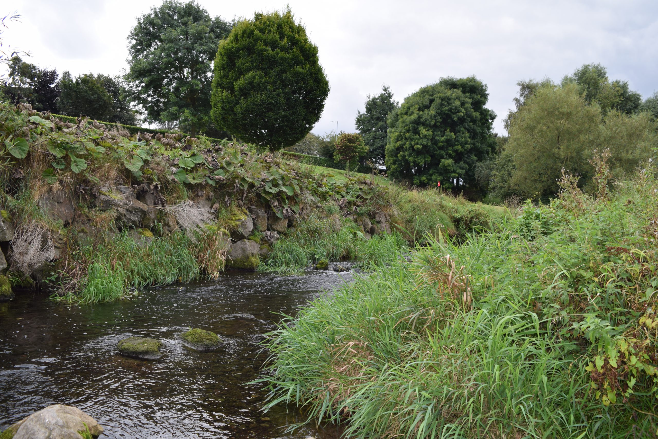 Tolka Valley Park (Páirc Ghleann Tulchann) – Dublin City Film Office