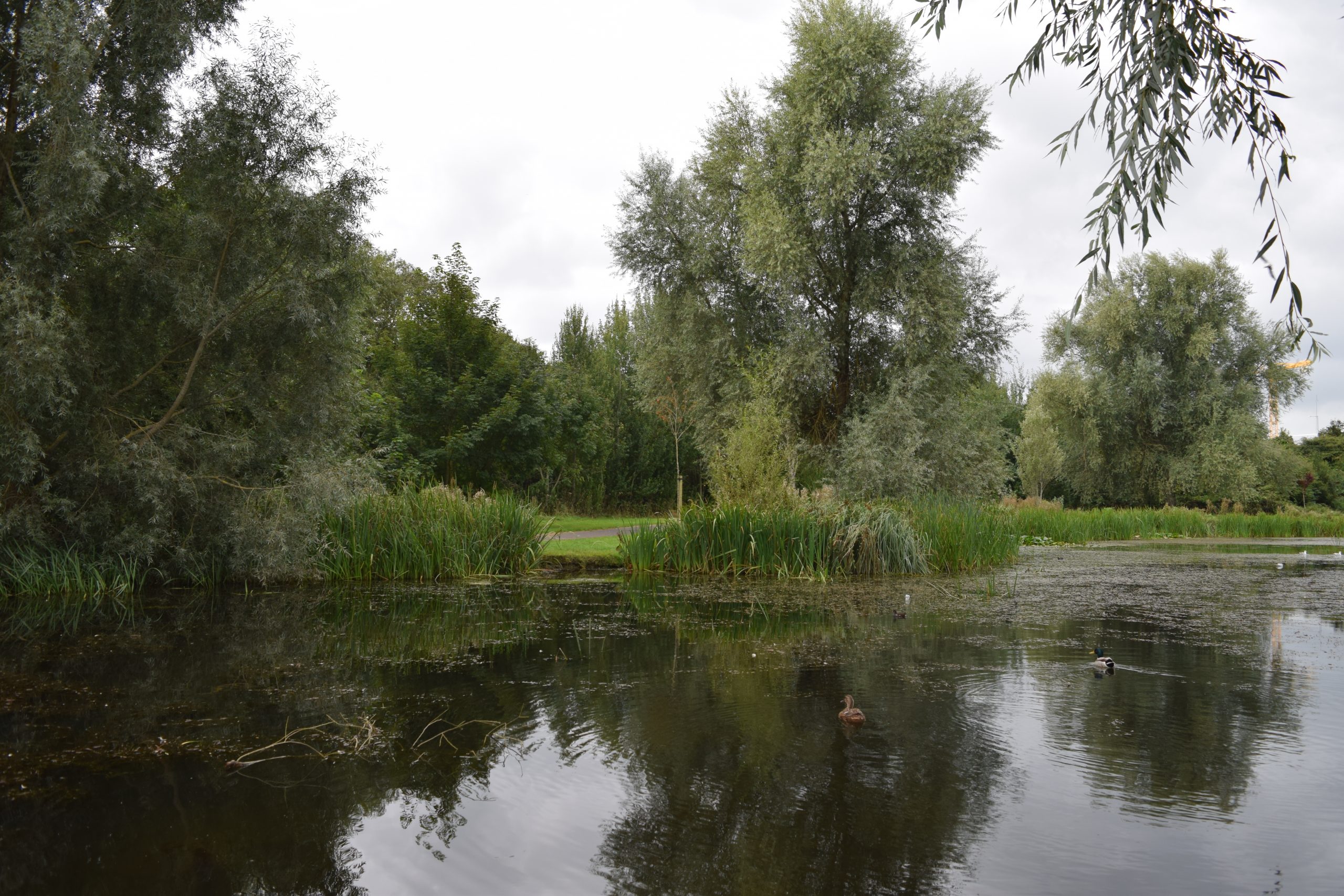 Tolka Valley Park (Páirc Ghleann Tulchann) – Dublin City Film Office