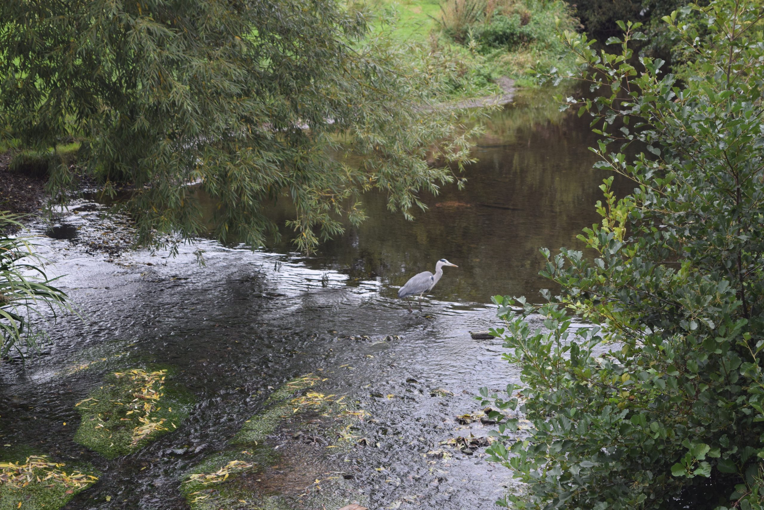 Tolka Valley Park (Páirc Ghleann Tulchann) – Dublin City Film Office