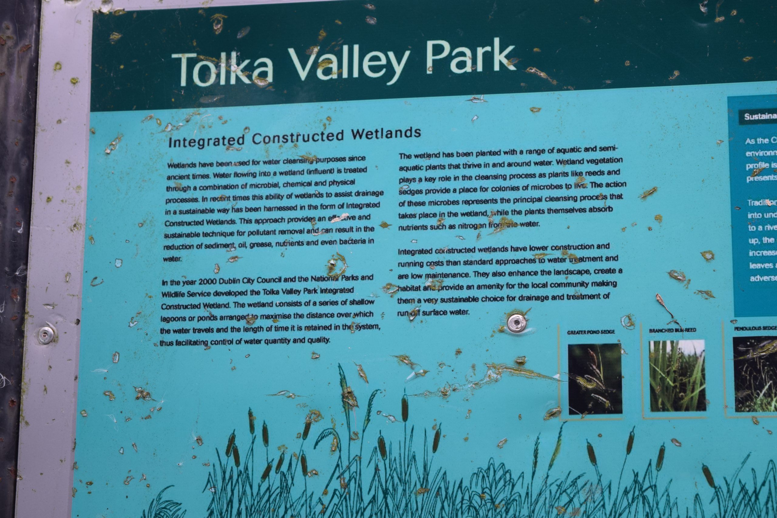 Tolka Valley Park (Páirc Ghleann Tulchann) – Dublin City Film Office