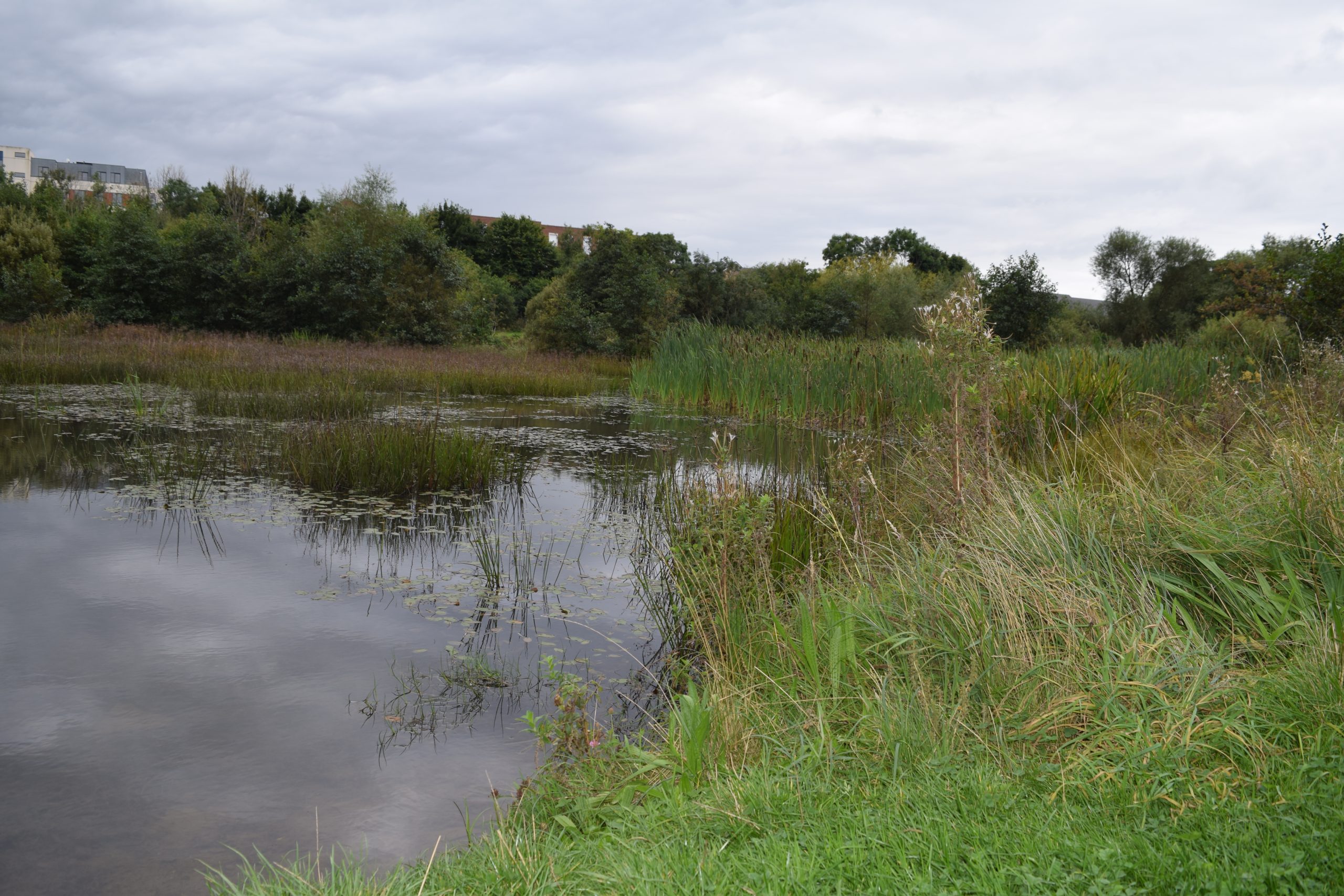 Tolka Valley Park (Páirc Ghleann Tulchann) – Dublin City Film Office