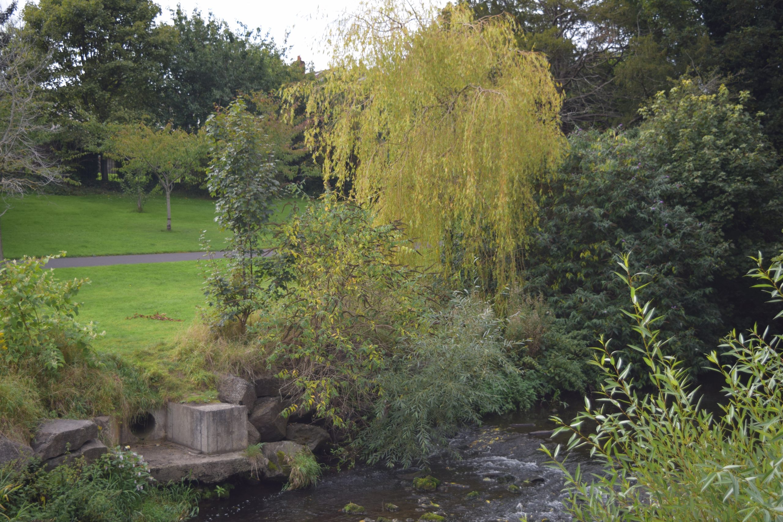 Tolka Valley Park (Páirc Ghleann Tulchann) – Dublin City Film Office