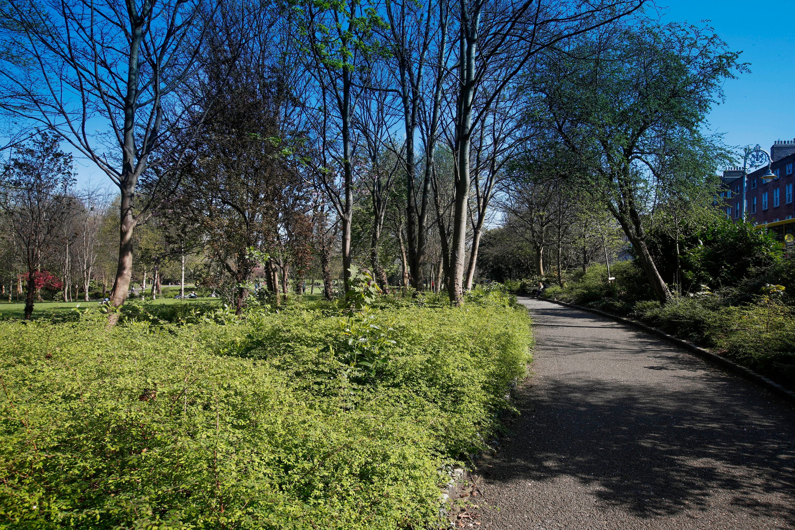 Merrion Square Park (Páirc Cearnóg Mhuirfean) – Dublin City Film Office